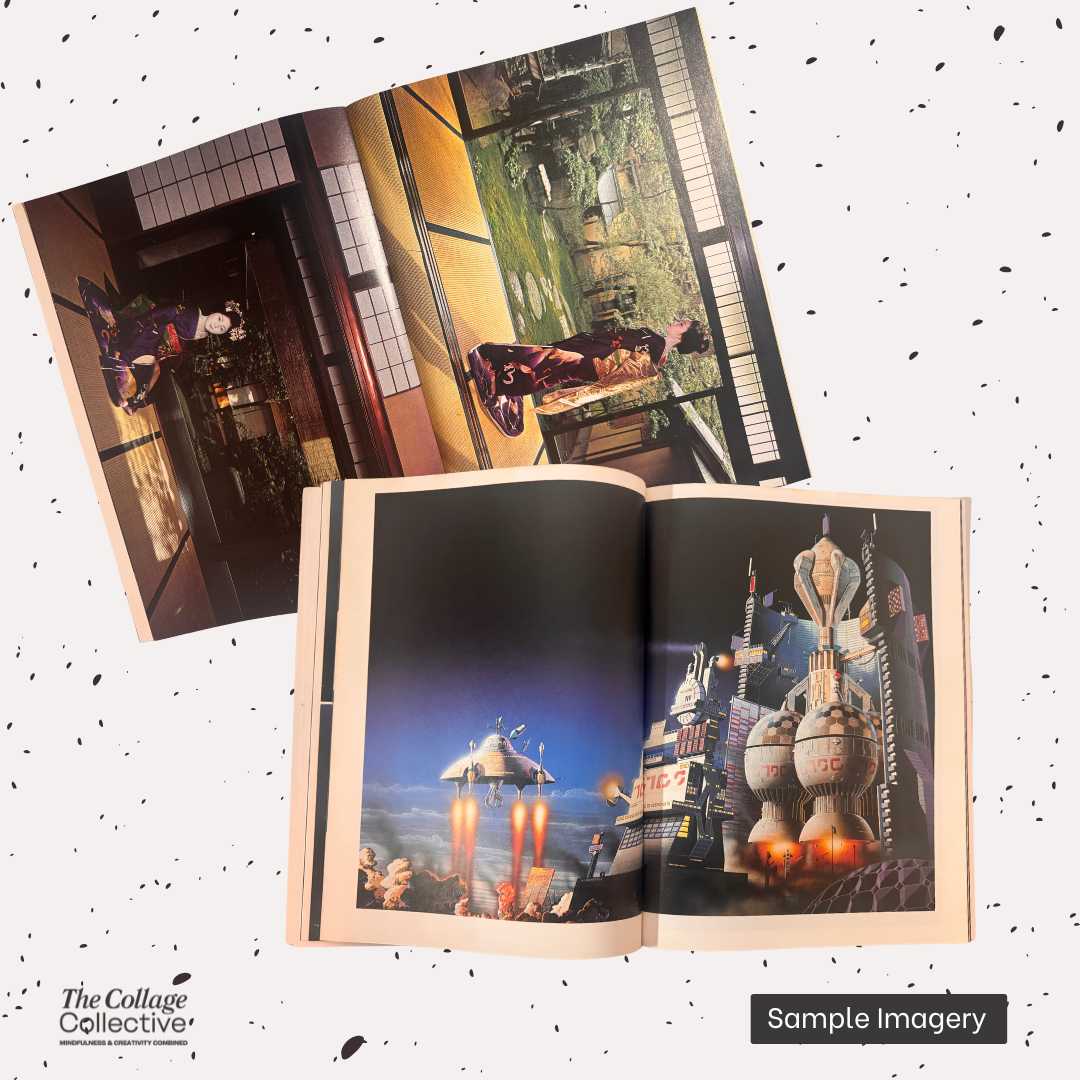 Rare Vintage Magazine for Sale: Zoom Issue 1 - The Collage Collective
