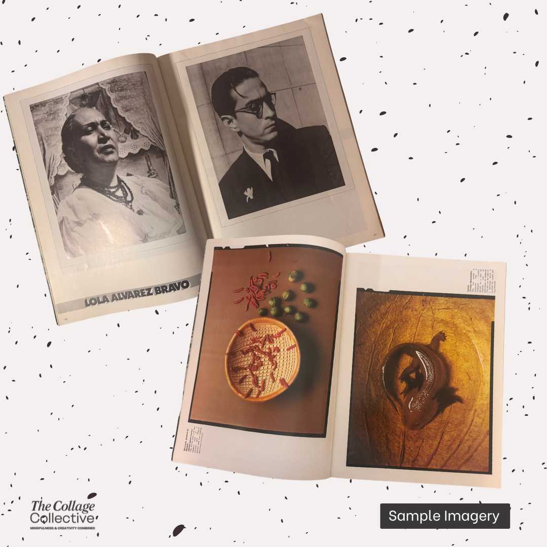 Rare Vintage Magazine for Collage: Iconic Zoom Issue - The Collage ...